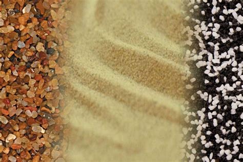 Substrate Can Affect Spawning Behaviors The Cichlid Stage