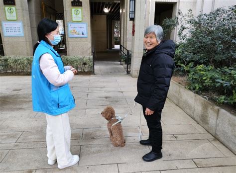 航海西路街道民安社区开展“文明养犬 宠爱有方”宣传活动 大河新闻