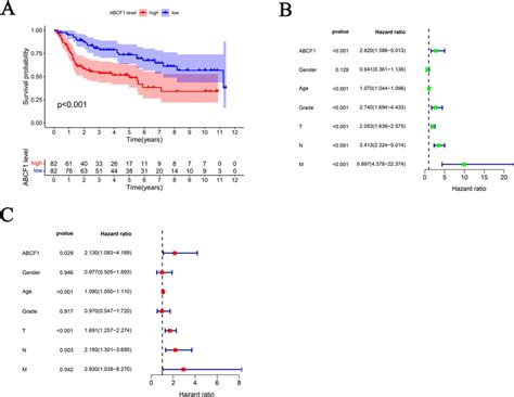 A Overall Survival Curves Of Bladder Cancer Patients With High Download Scientific Diagram