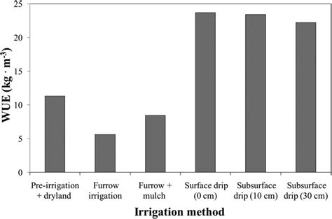Water Use Efficiency Of Caravelle Cantaloupe As Affected By The
