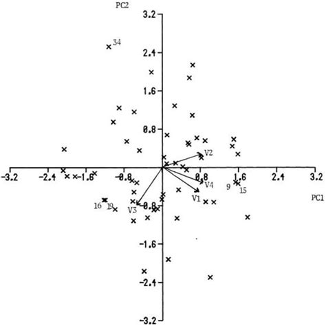 Pca Biplot Example Download Scientific Diagram