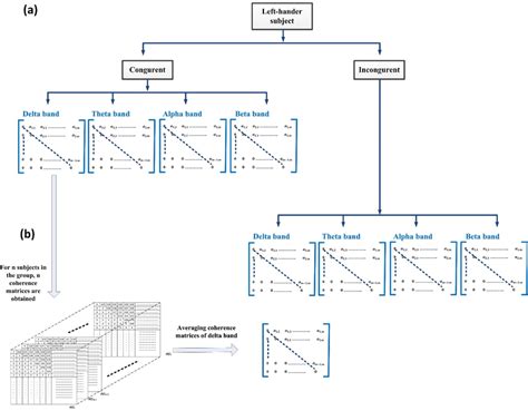 A Represents The Coherency Matrices Achieved Per Participant Eegs B