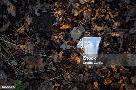 마른 갈색 잎 사이에 땅에 흰색 깨진 플라스틱 컵 개념 환경 오염 공간 상단 뷰를 복사합니다 0명에 대한 스톡 사진 및 기타