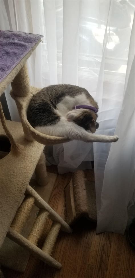 Tic Model 2019 Has Modular Control Impacted During Snooze Mode Please Advise R Tacticalissuecat