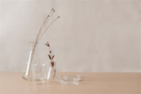 Glass Flask With Flowers On Table In Laboratory Stock Image Image Of Science Cosmetics