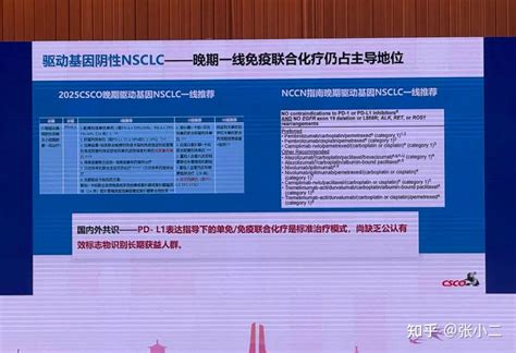 Csco指南大会 非小细胞肺癌指南更新要点及国内外指南异同点解析 知乎
