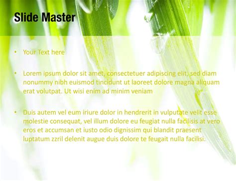 Grass Field PowerPoint Templates Grass Field PowerPoint Backgrounds Templates For PowerPoint