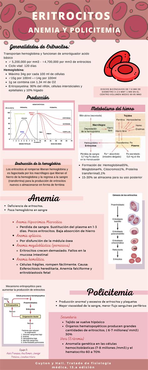 Eritrocitos G U Y T O N Y H A L L T R A T A D O D E F I S I O L O G