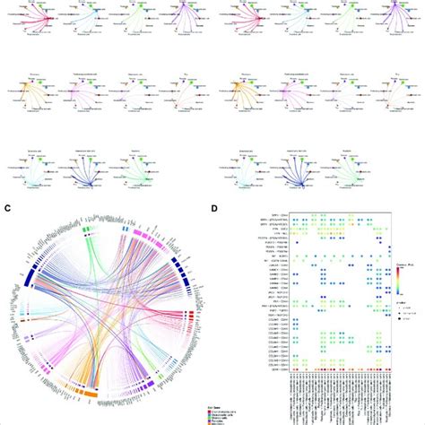 Detailed View Of The Ligands Expressed By Each Major Cell Type A A