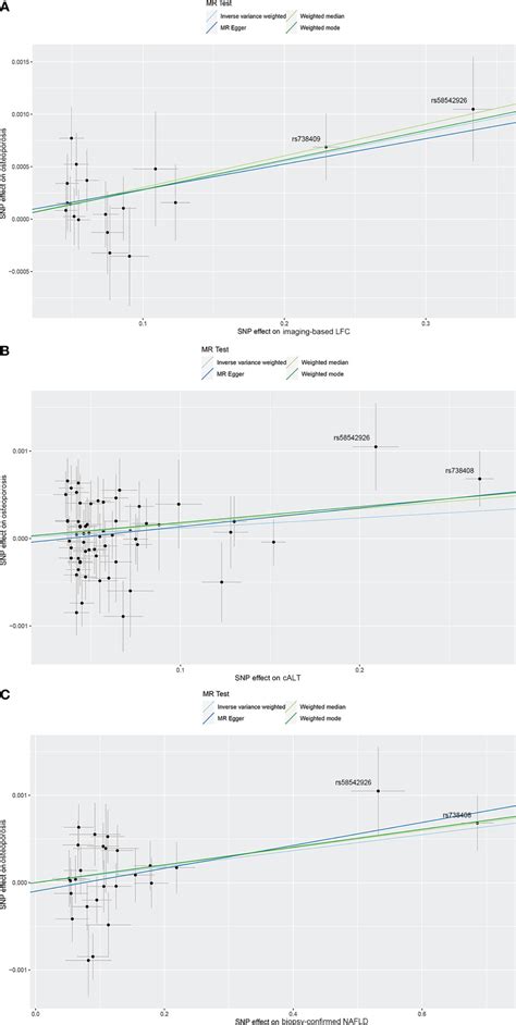 Causal Effects Of Non Alcoholic Fatty Liver Disease On Osteoporosis A Mendelian Randomization