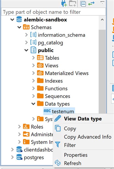 Add Support For Addingremoving Values To User Defined Data Types · Issue 3936 · Dbeaver