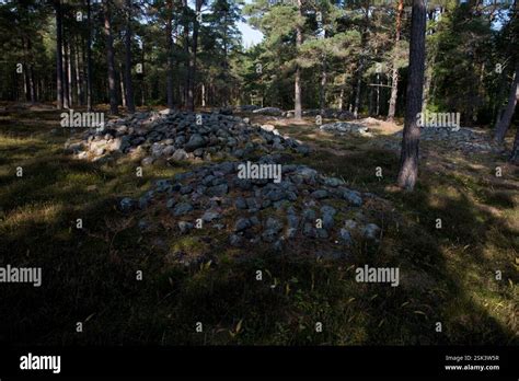 Trullhalsar Grave Field On The Swedish Island Gotland Is From Vendel