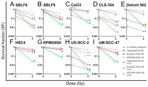 Ijms Free Full Text Effective Radiosensitization Of Hnscc Cell
