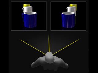 The Concepts Of Stereo Vision