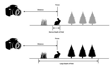 What Is Depth Of Field In Photography Definition And Settings