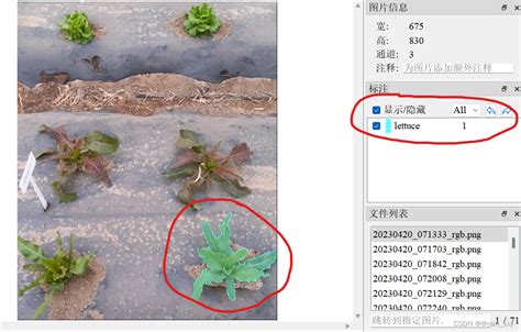 Yolov seg制作并训练自己的数据集 提取并重建mask python XY DAMO开发者矩阵