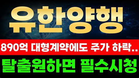 🔴유한양행 심각하네요제발 이것 꼭 알고 가세요 제가 다 풀어드리겠습니다 유한양행 유한양행주가전망 유한양행목표가 Youtube