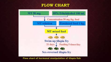 Hormonal Sex Manipulation Pptx
