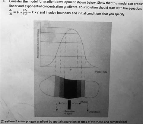 6 Consider The Model For Gradient Development Shown Below Show That This Model Can Predict
