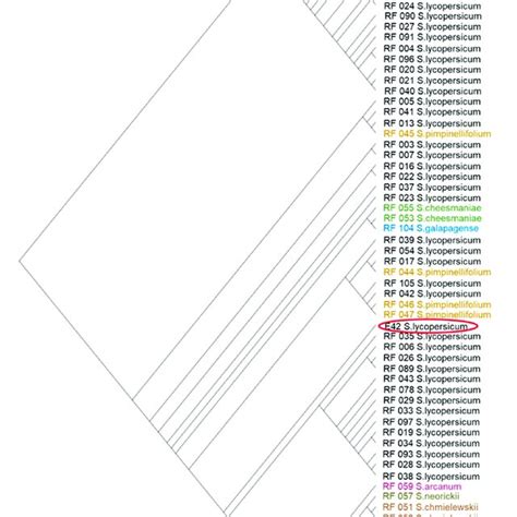 Density Distribution Of Filtered Snps A And Indels B Within 1 Mb Download Scientific