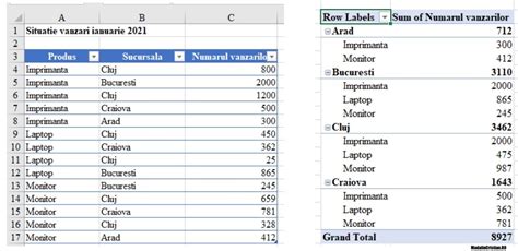 Ms Excel Tabel Pivot Exemplu Madalincristian Ro