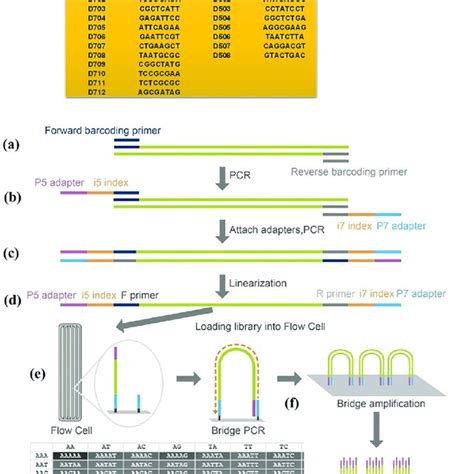Observed Allele Increase With Massively Parallel Sequencing Mps Download Scientific Diagram