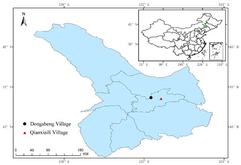 Comparison Of Drone Assisted Maize Seedling Detection Models Based On