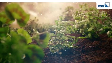 Ksb Company On Linkedin The Water Cycle