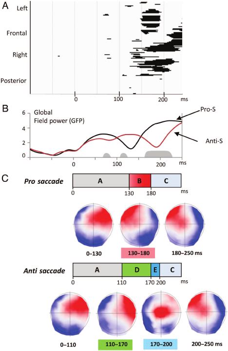 Saccadic Eye Movement Results Error Rates And Saccadic Reaction Time