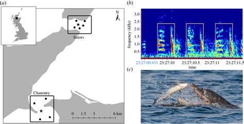 A Map Showing The Passive Acoustic Monitoring Arrays Deployed At Download Scientific Diagram