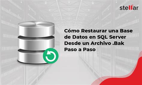 Cómo Restaurar Una Base De Datos En Sql Server Desde Un Archivo Bak