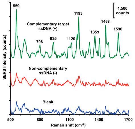 Molecules Free Full Text Surface Enhanced Raman Spectroscopy For Dna Biosensors—how Far Are We