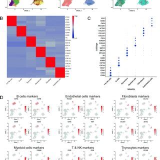 Analysis Of Immune Cell Subsets Based On Dimensional Clustering A