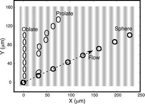 Individual Particle Movement In A Laminar Flow For A Specific Download Scientific Diagram
