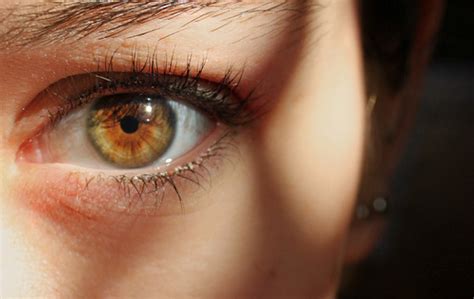 Eyeshadows For Hazel Eyes Love My Lucy
