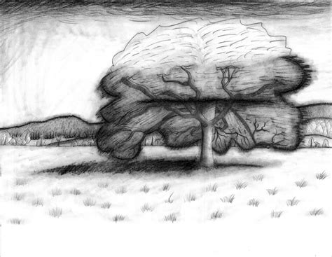 Distant Tree By 4xEyes1987 On DeviantArt