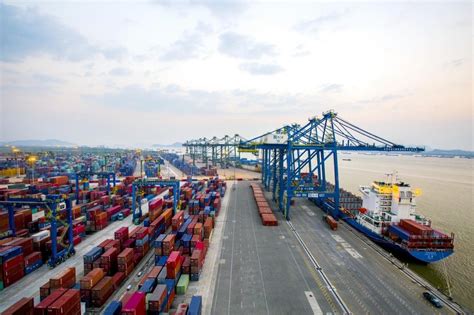 Chinas Exports Showing Remarkable Resilience Despite Headwinds Govt