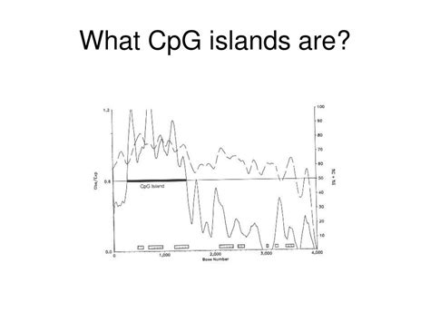 Ppt Sequence Analysis Of Cpg Islands Reveals Possible Functional Correlation Between Genes And