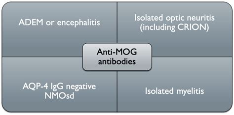 Myelin Oligodendrocyte Glycoprotein Antibody Associated Disease