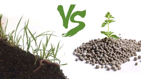 ОРГАНИКА против МИНЕРАЛКИ Какие удобрения лучше Органические или минеральные и почему Youtube