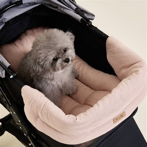 강아지 유모차 추천 제품 10가지 고르는 방법과 훈련 방법 알아보기 비마이펫 라이프