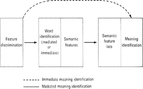 Immediate And Mediated Meaning Identification Download Scientific Diagram
