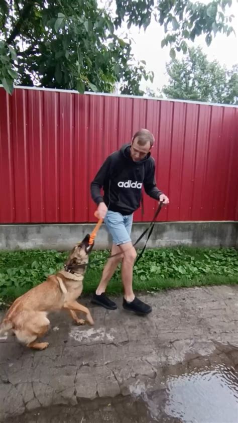 Кінолог Біла Церква🐕‍🦺 Ви ще досі використовуєте рулетку для вигулу свого улюбленця😧 Це