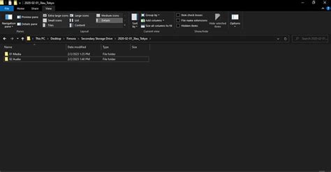 backup and organize your footage in minutes