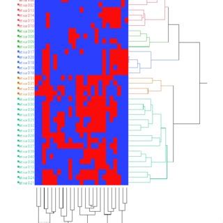 Dendrogram Obtained From Upgma Showing The Genetic Relationship Between Download Scientific