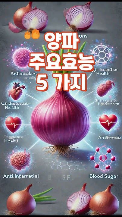 양파 효능 5가지 Youtube