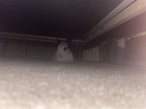 Plotting My Demise R Murderbuns