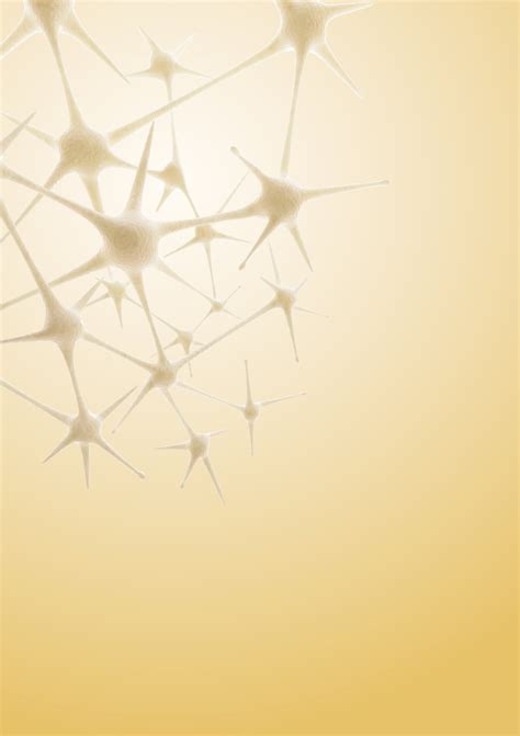 3d Neural Network Behance