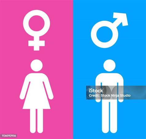 파란색과 분홍색 배경으로 남성과 여성의 아이콘입니다 성별 상징 벡터 일러스트 남성 기호에 대한 스톡 벡터 아트 및 기타 이미지 남성 기호 벡터 사람들 Istock