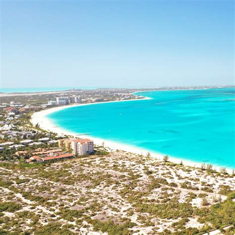 Timothy Reddick Youtube